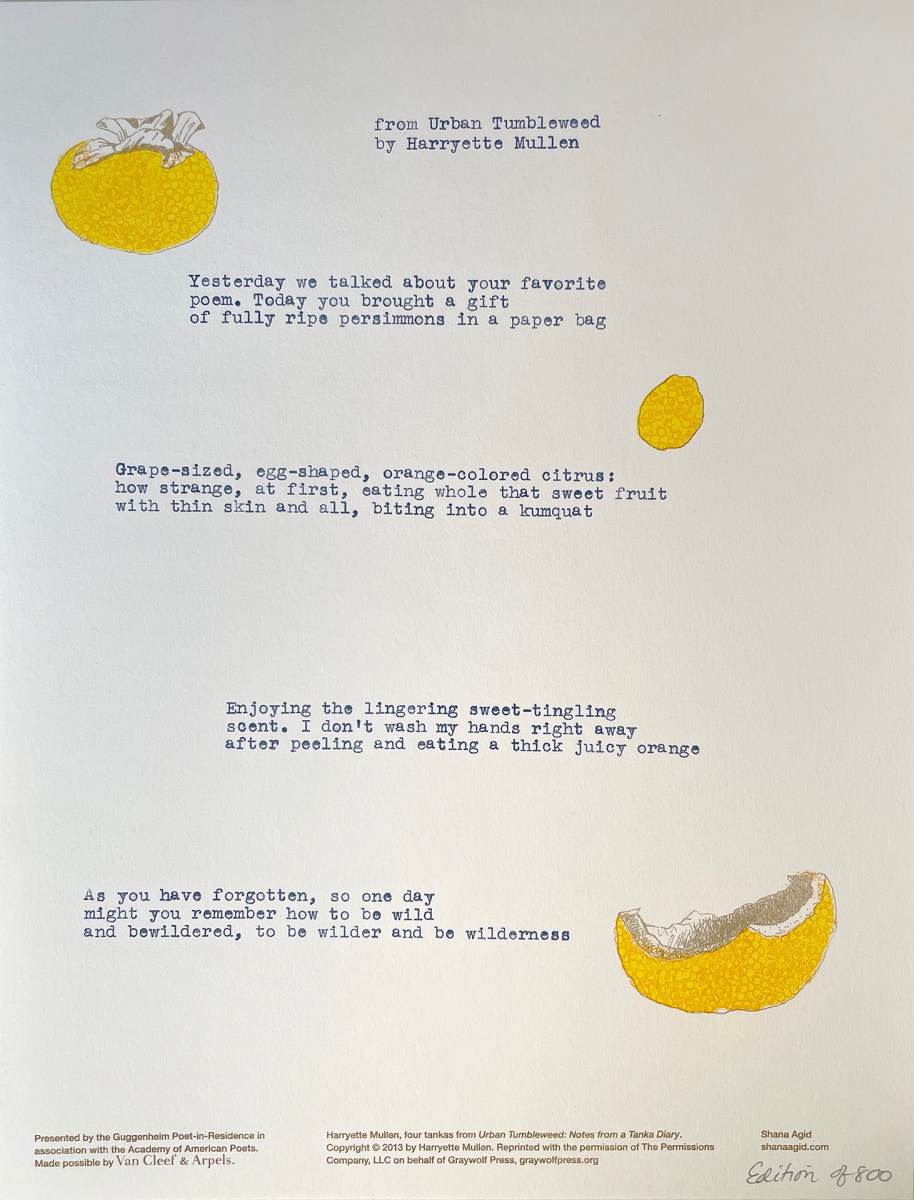 The Poetic Line – Ama Codjoe at the Guggenheim | rind press